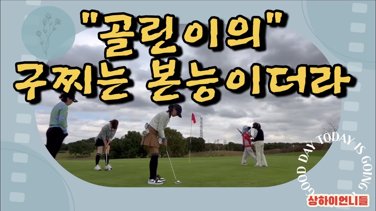 골프브이로그⛳️시끌벅적라운딩웃다끝난라운딩상해골프브이로그골프브이로그골프라운딩골프영상골프명인후반홀 Youtube