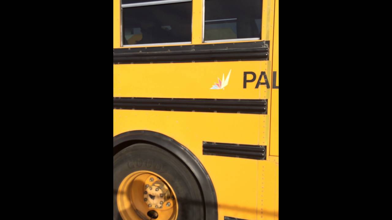 Girl gets in a fight with bus driver - YouTube
