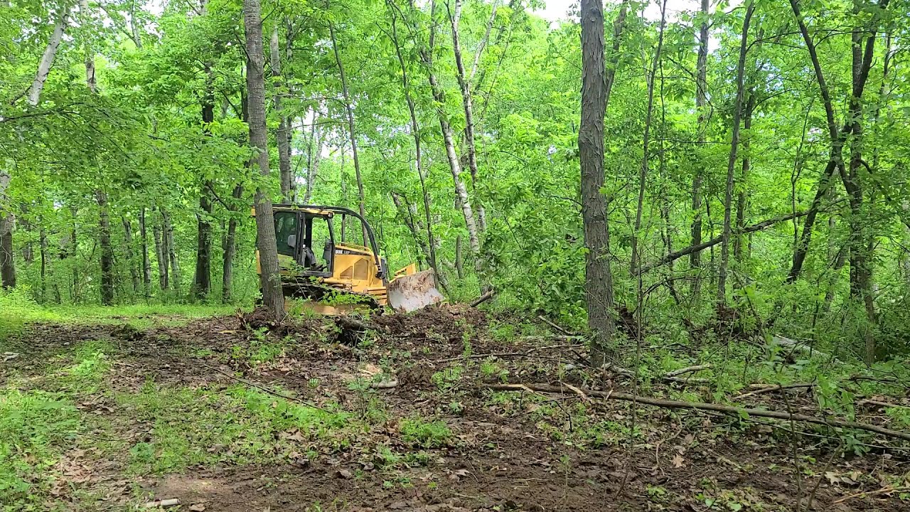 Cat D3k dozer pushing some trees - YouTube