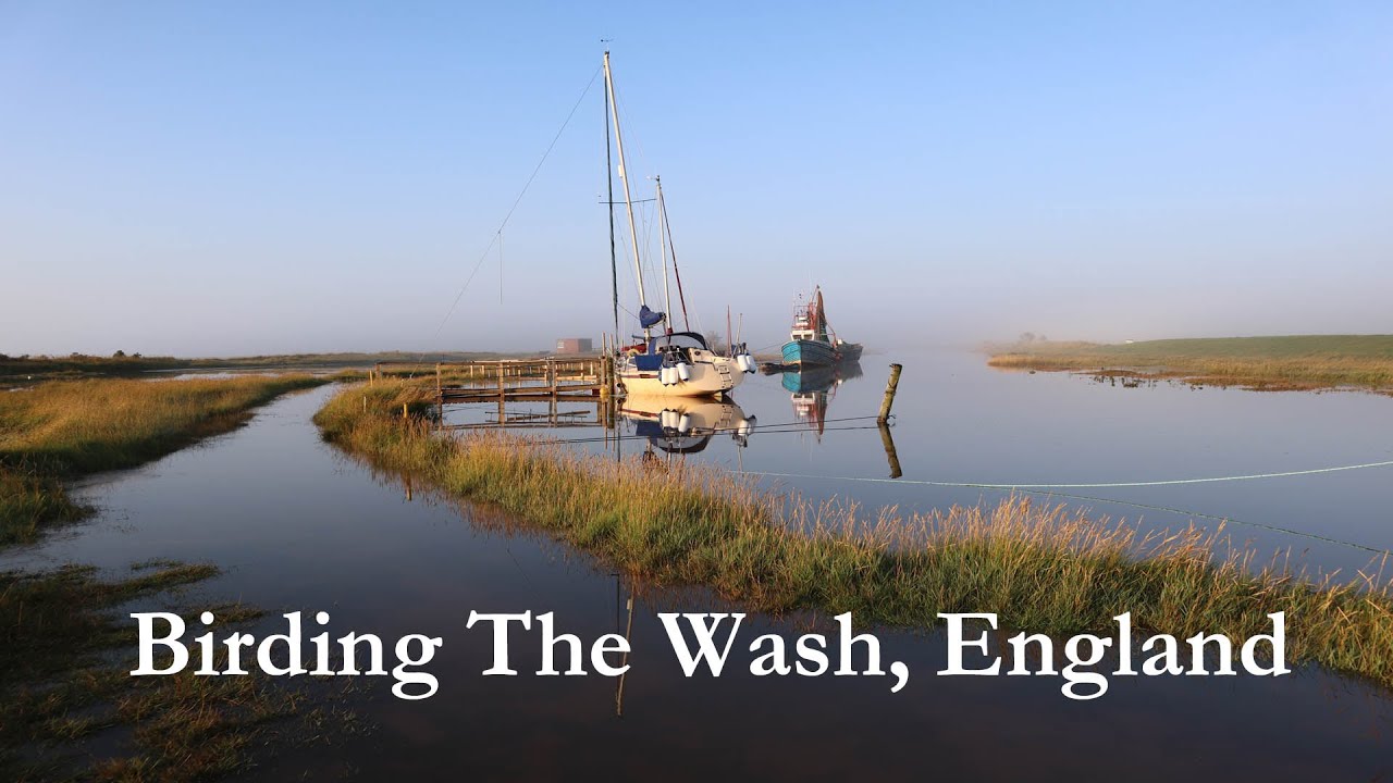 Birding The Wash, England - YouTube