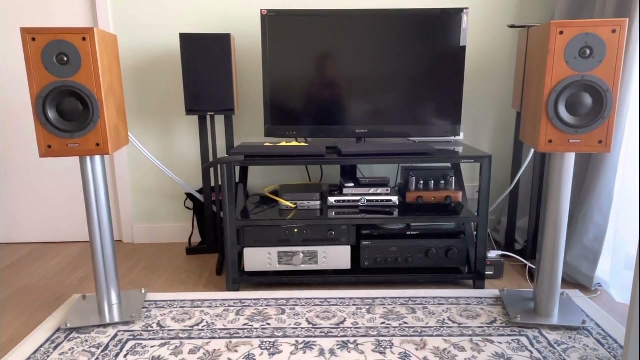 Dynaudio Contour 1.3 MK2 with Pascal class D - YouTube