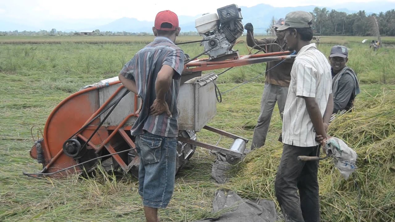 Mesin Pemanen Padi Lacandu DP 1000 - YouTube
