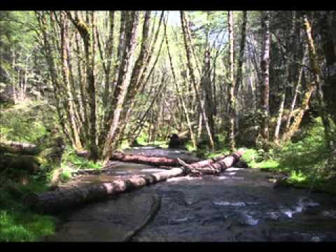 Large Wood in Northwest Streams - Part 3 - YouTube