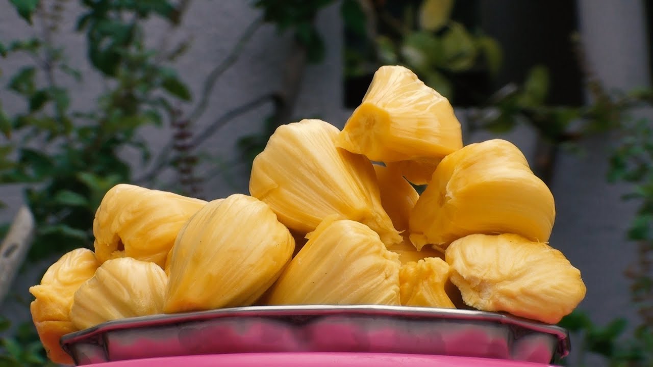 Yellow jackfruit at Lingasandra | Sweet and pulpy bulbs - YouTube