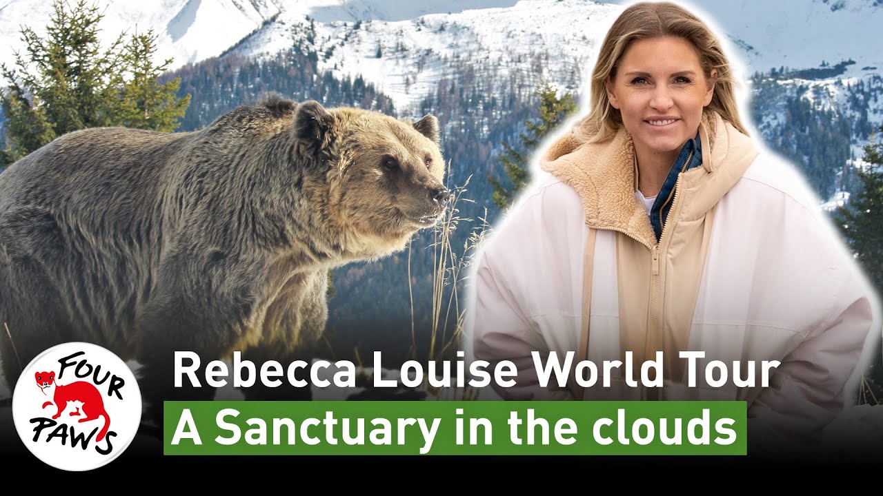 Rebecca Louise at our Arosa Bear Sanctuary - YouTube