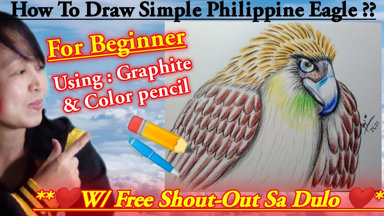 How To Draw Simple Philippine Eagle ?? For Beginner , using Color ...