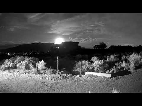 Lycan trailer