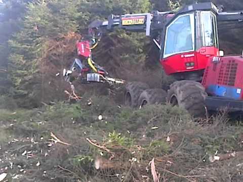 Valmet Harvester processing Christmas Trees on a Moorland SSSi Site ...