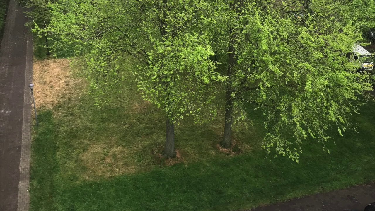 Transition into Spring - YouTube