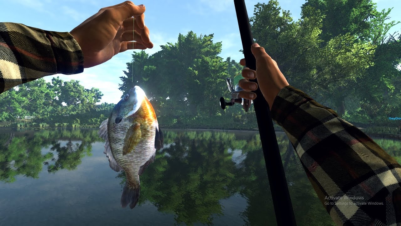 Watch fishing to relax your mind - YouTube