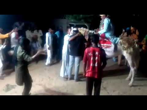 desi sadi desi party in Hindilip kissing video, lip kissing Japan video