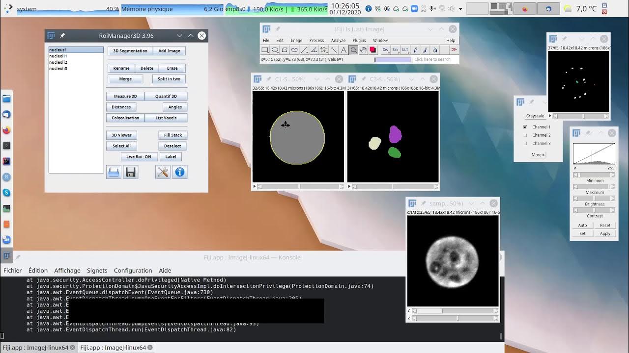 I2K 2020 tutorial: 3D Analysis with the 3D ImageJ Suite (session 1, part 3) - YouTube