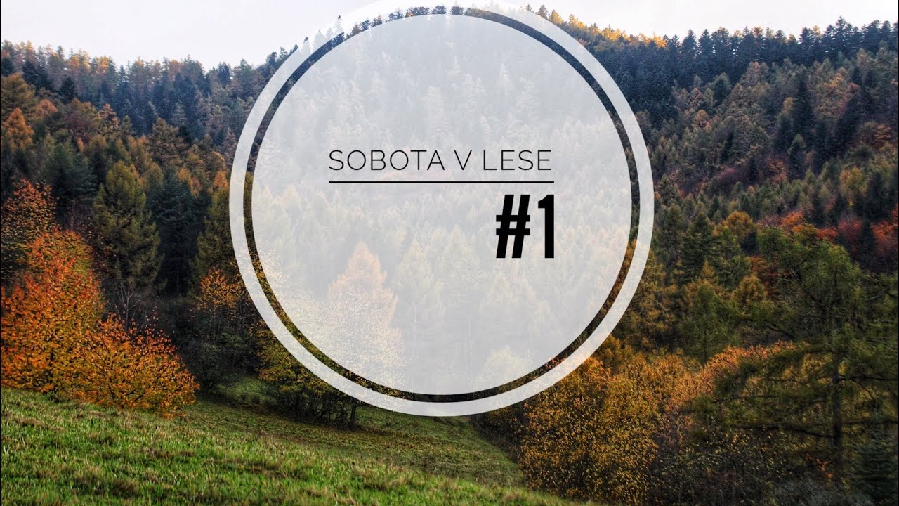 MARK Style: Sobota v lese #1vlog #wildlifephotography # ...