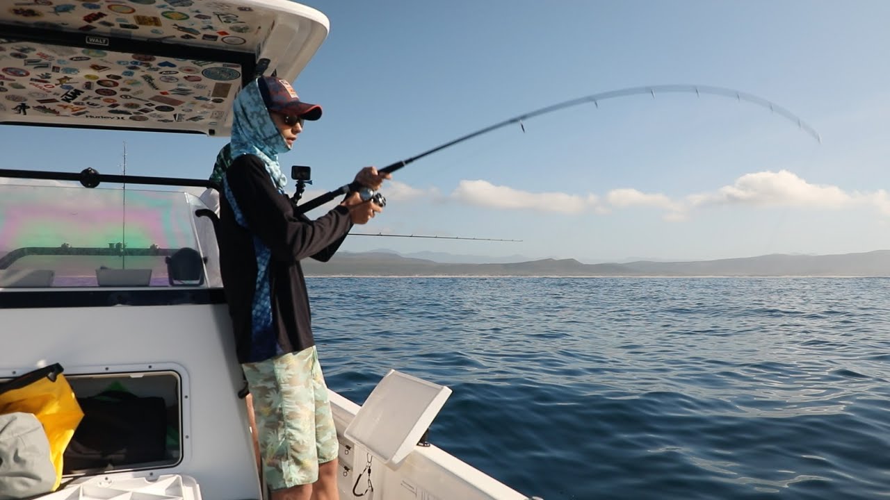 Dolphins, Bait Balls, and Reef Fish! A Perfect Day at Buffalo Bay - YouTube