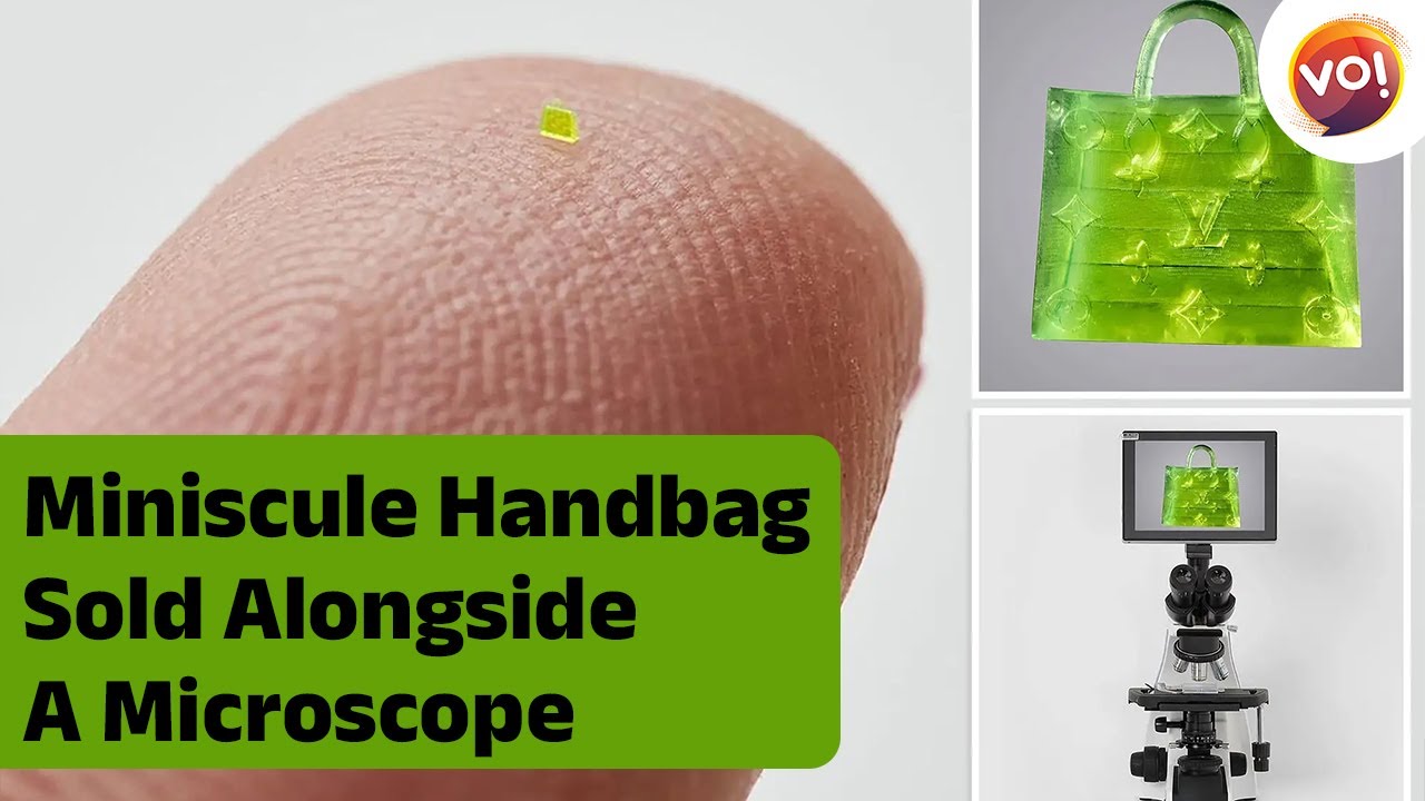 Miniscule Handbag Sold Alongside A Microscope | Sakshee Singh | Vibes ...