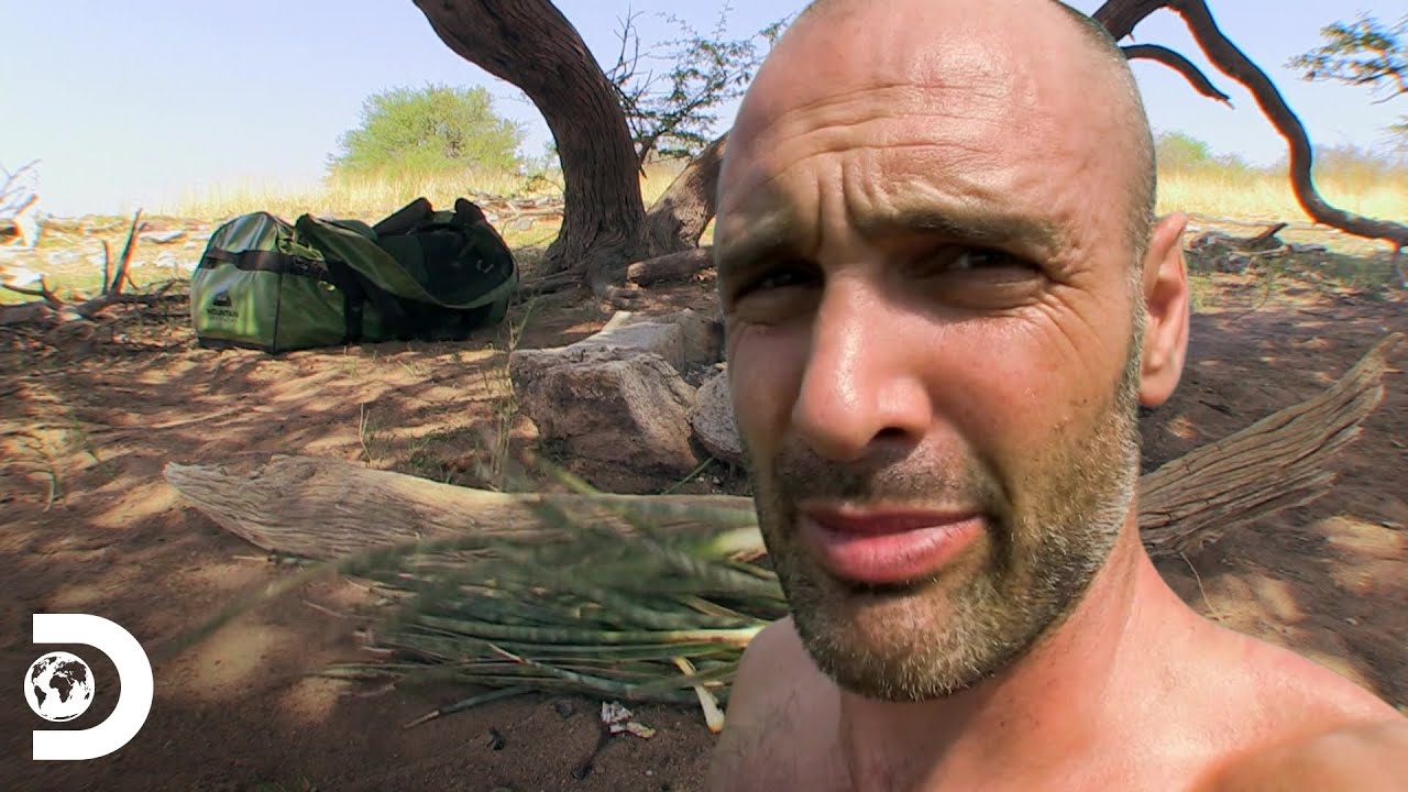 Ed se alimenta com insetos | Ed Stafford: O Sobrevivente | Discovery ...