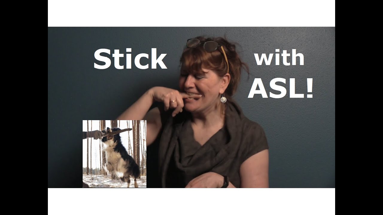 ASL: 6 meanings of STICK (ASL: ¡6 significados de STICK!) - YouTube