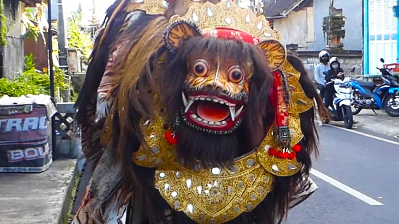 Barong Macan BMTS Super Galak ngelawang Di Kekeran Galungan 2023 - YouTube