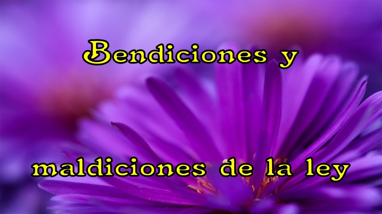 Bendiciones y maldiciones de la ley - YouTube