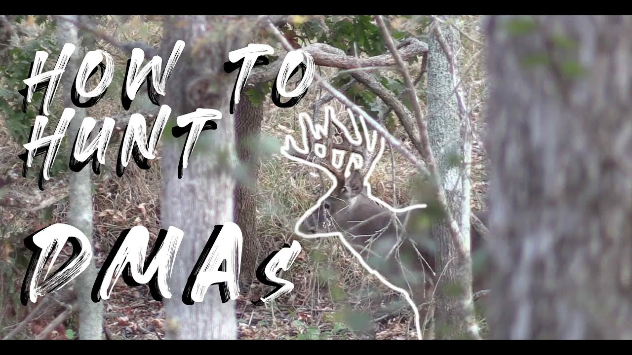 PUBLIC LAND HOT SPOTS! | How to Find and Hunt Deer Movement Areas ...