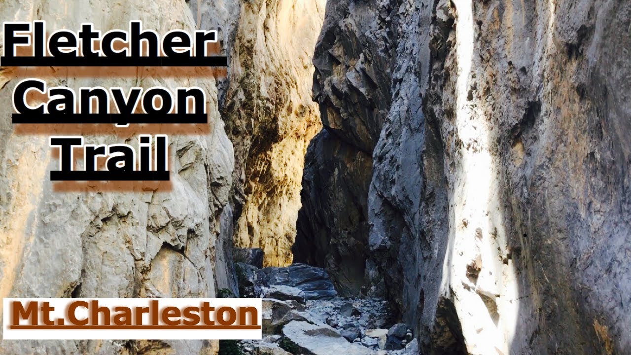MT.CHARLESTON FLETCHER CANYON TRAIL | GREAT HIKE TRAIL | 40mins drive ...