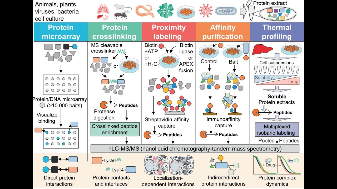 Breakthroughs in Proteomics & Single Molecule Protein Sequencing - YouTube