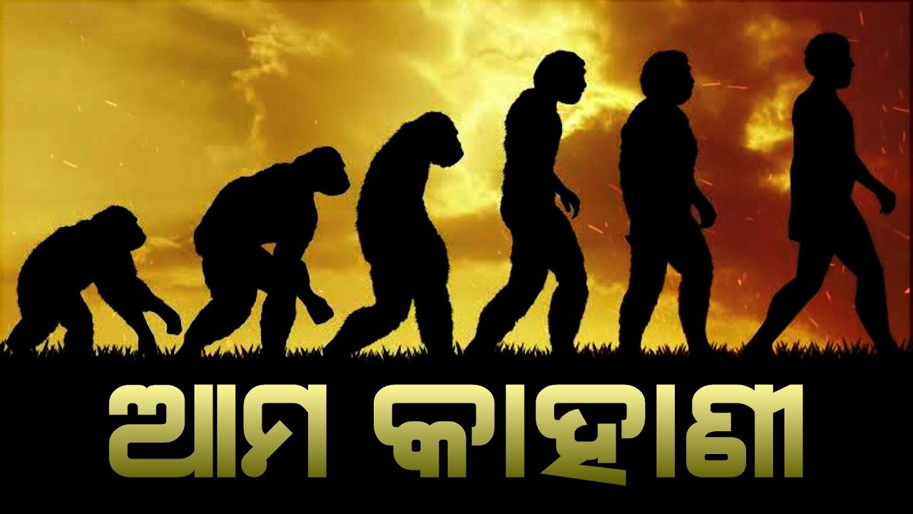 ମାଙ୍କଡ ରୁ ମଣିଷ ହେବାର କାହାଣୀ | Human Evolution Story in Odia | How ...