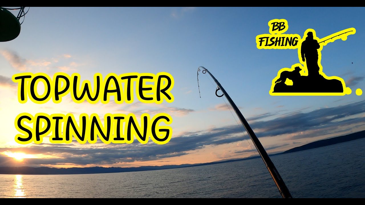 SPINNING S OBALE - 3 DANA TOPWATER SPINA (STRIJELKA I LICA ILI GOF ...