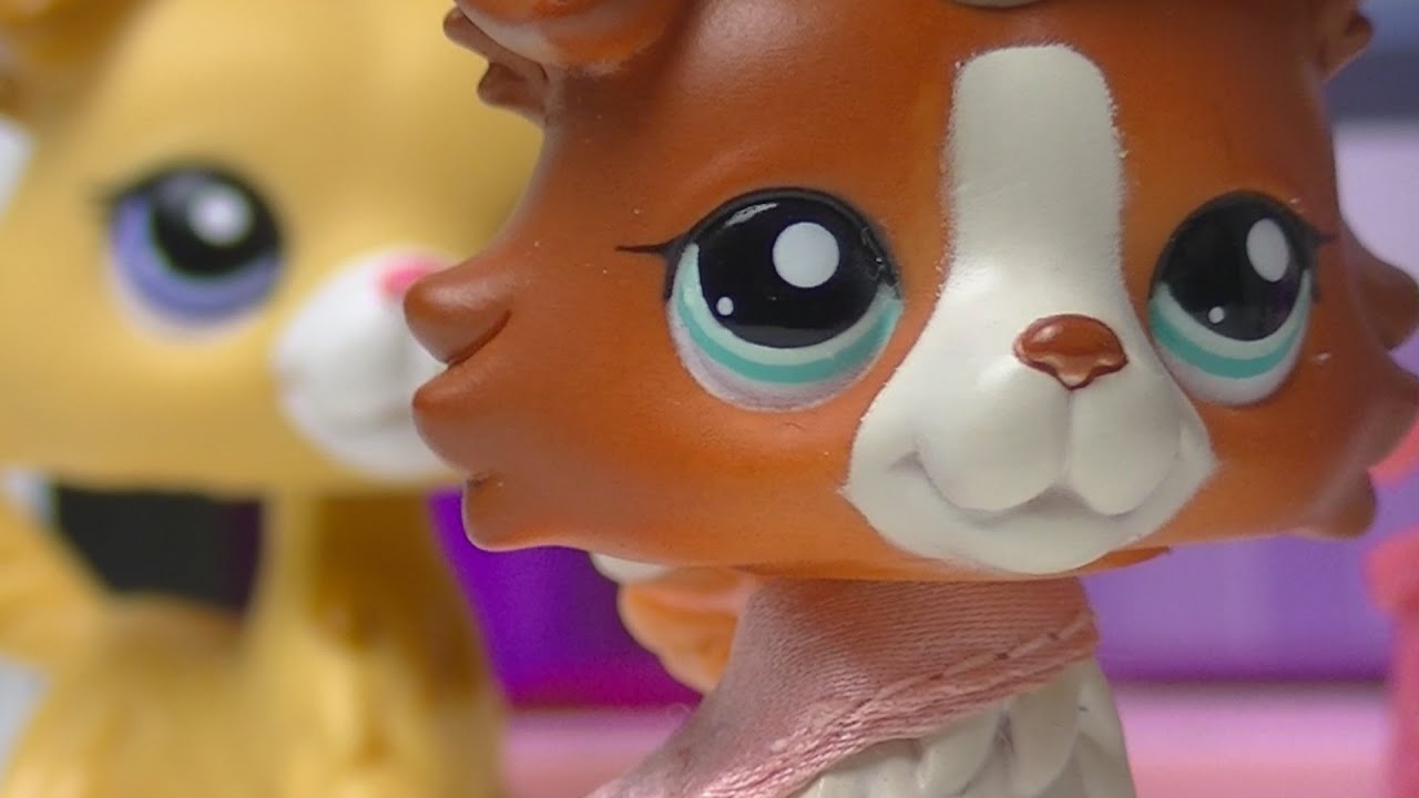 ♥ LPS Troublemaker - Episode 11 (Forgiveness) SERIES FINALE ♥ - YouTube