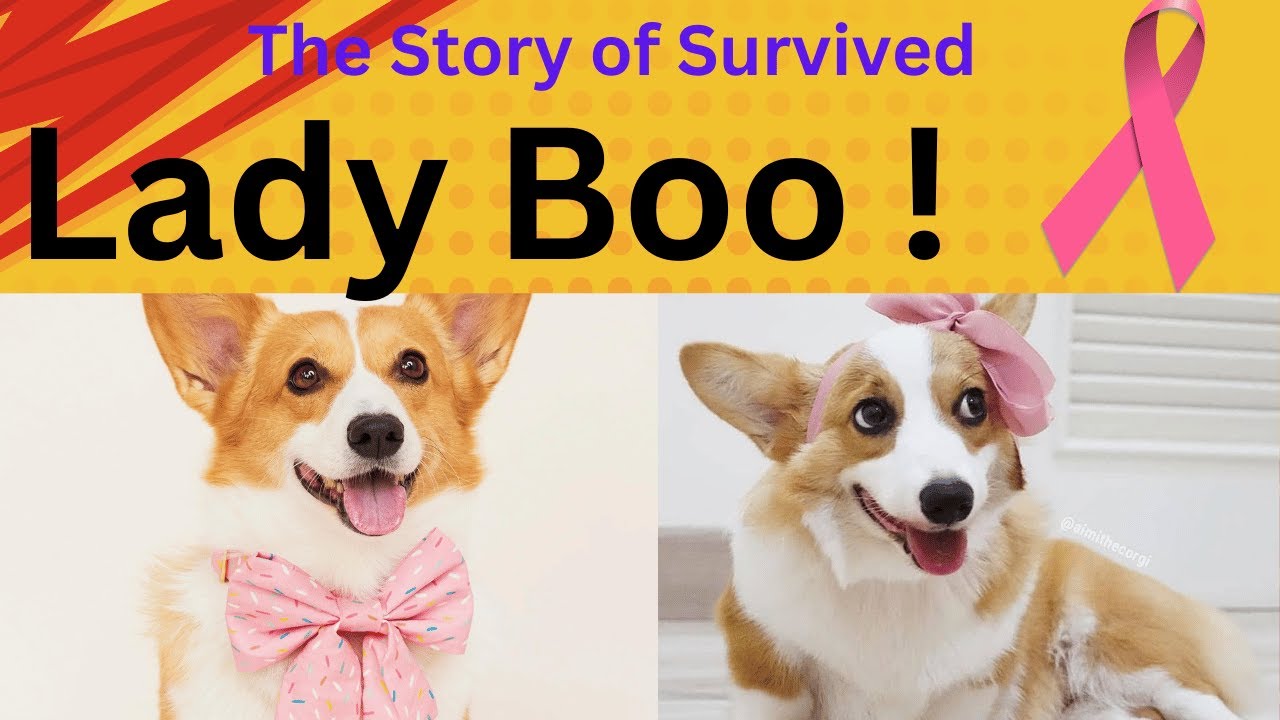 Miracle: Lady Boo's Survival Story - YouTube