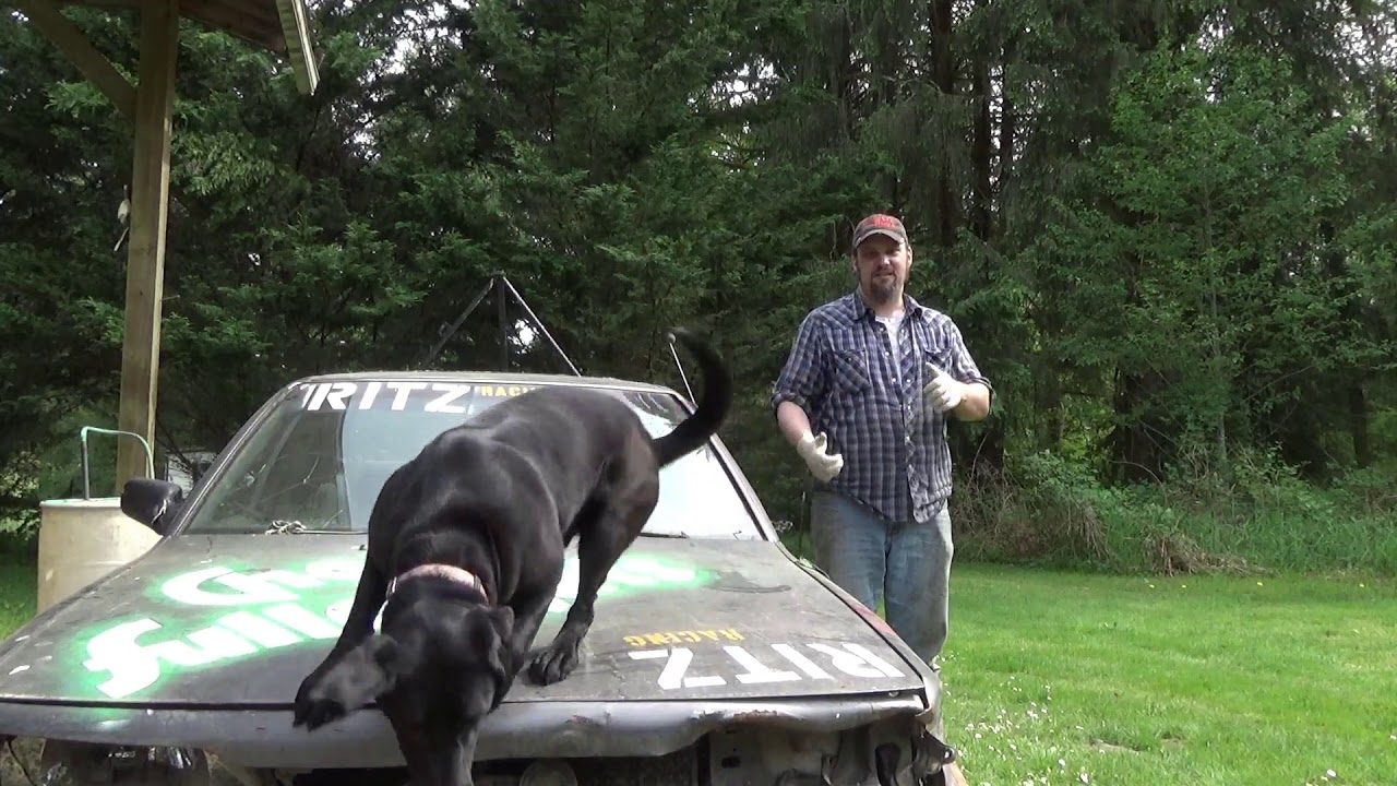 Neighbor Dog Bad Trick - YouTube