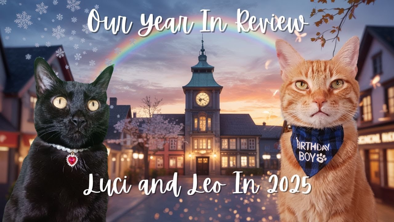 Luci and Leo Take A Look Back At 2025 - YouTube