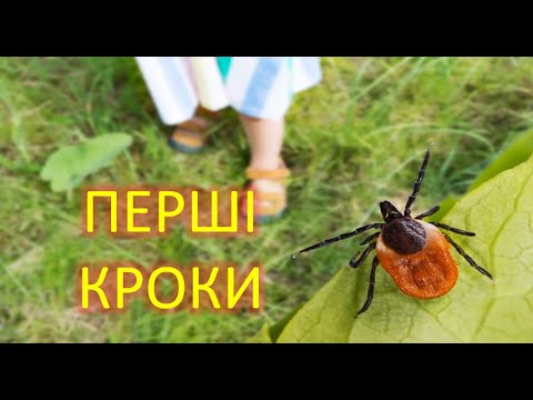 Хвороба Лайма. ЩО РОБИТИ КОЛИ ВКУСИВ КЛІЩ? Як попередити захворювання?