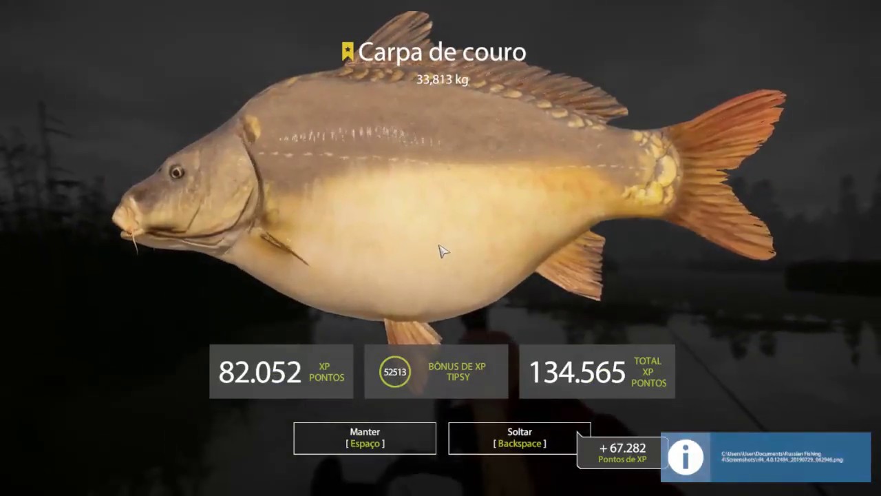 RF4-Russian Fishing 4 - Bear lake- leather carp trof (Carpa de couro ...