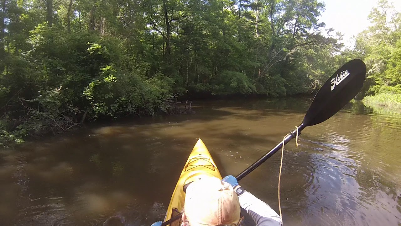 .Ashley River, SC 05-20-19 - Part 2 of 4 - YouTube