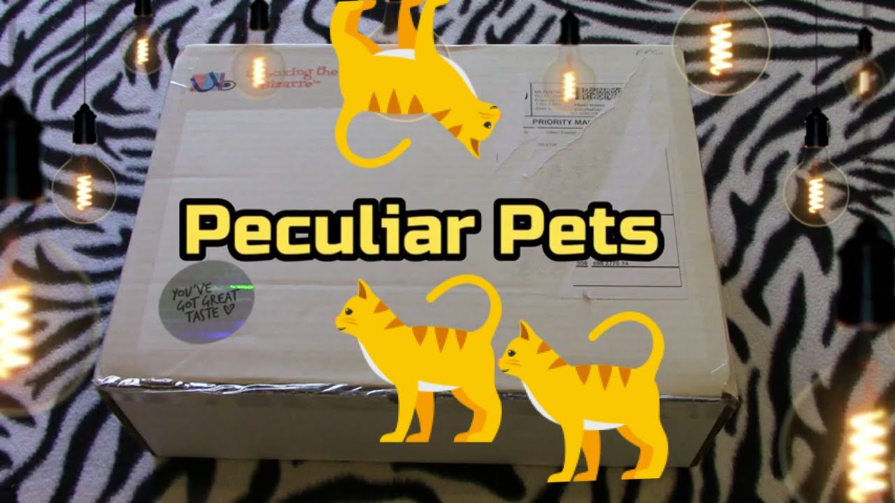 Peculiar Pet Box Unboxing By Unboxing The Bizarre July 2020! 😻 - YouTube