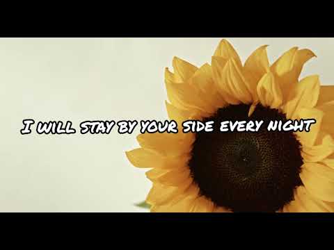 Be Kind Song by Halsey and Marshmello Lyrics - YouTube
