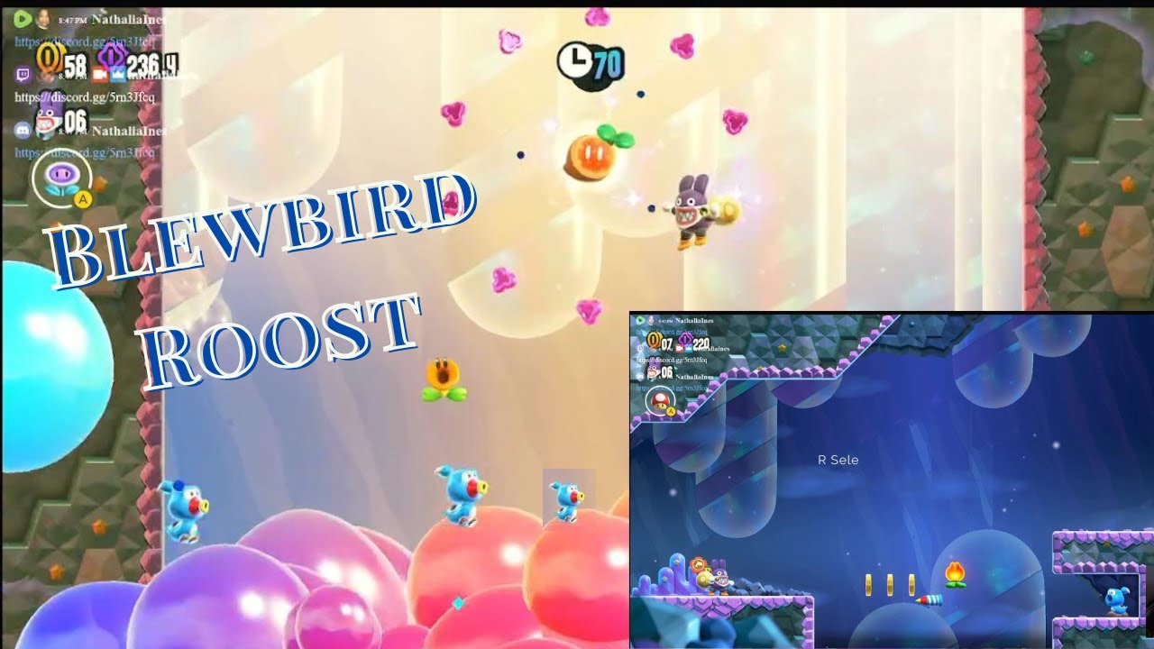 Super Mario Wonder: Blewbird Roost - YouTube