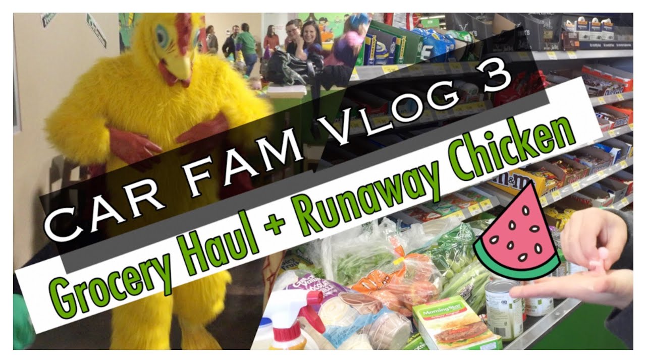 Runaway Chicken | Grocery Haul | CAR Family Vlog - YouTube