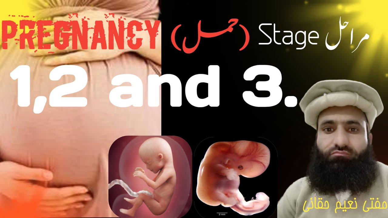 Hamal (Pregnancy) Stages ? Control Methods Which Are Allowed In Islam ...