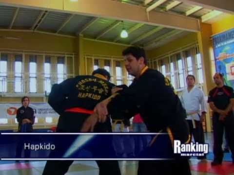 Seminario Triple Jeet Kune Do - No System - Hapkido - Ranking Marcial ...