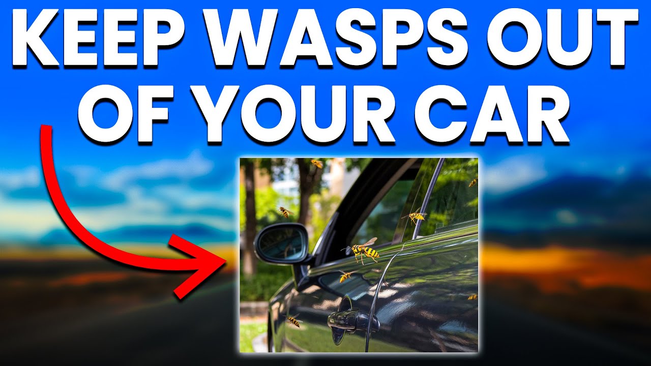 How To Keep Wasps Out Of Your Car (Simple Tricks And Tips) - YouTube