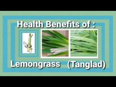 HEALTH BENEFITS OF LEMONGRASS (TANGLAD) - YouTube