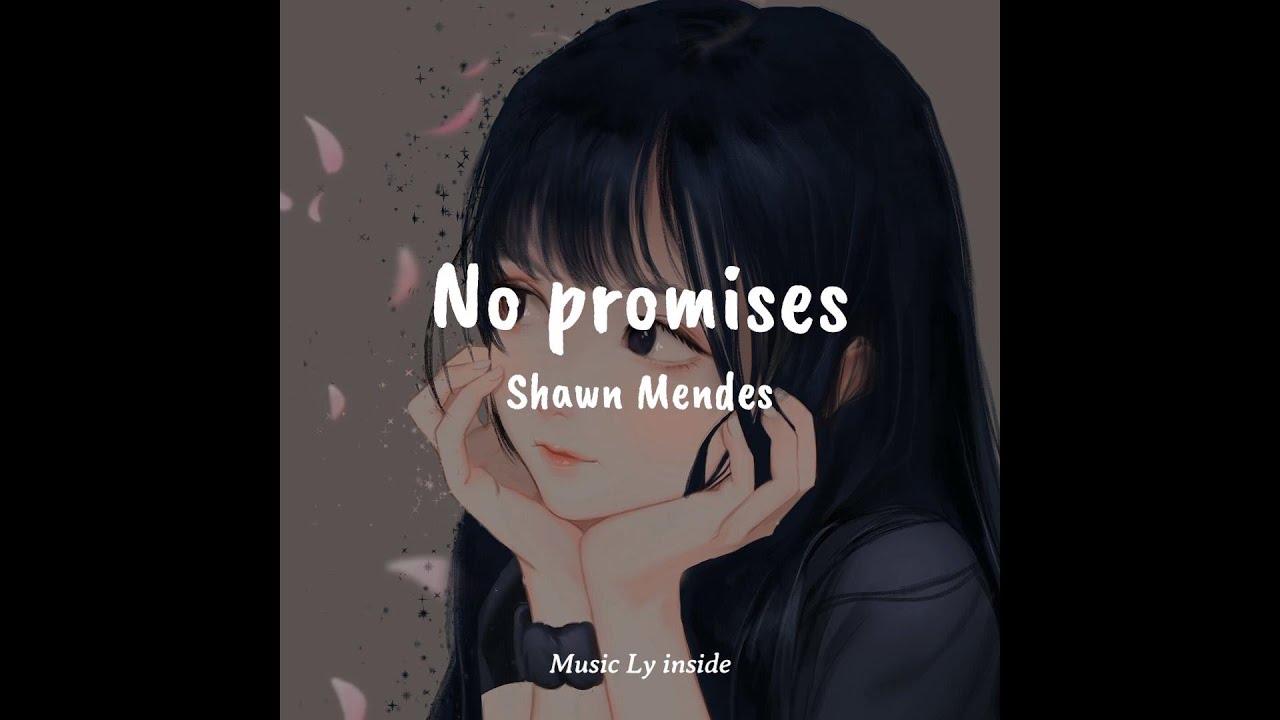 "No promises" Shawn Mendes song reverb & slower lyrics 🎧🌹 - YouTube