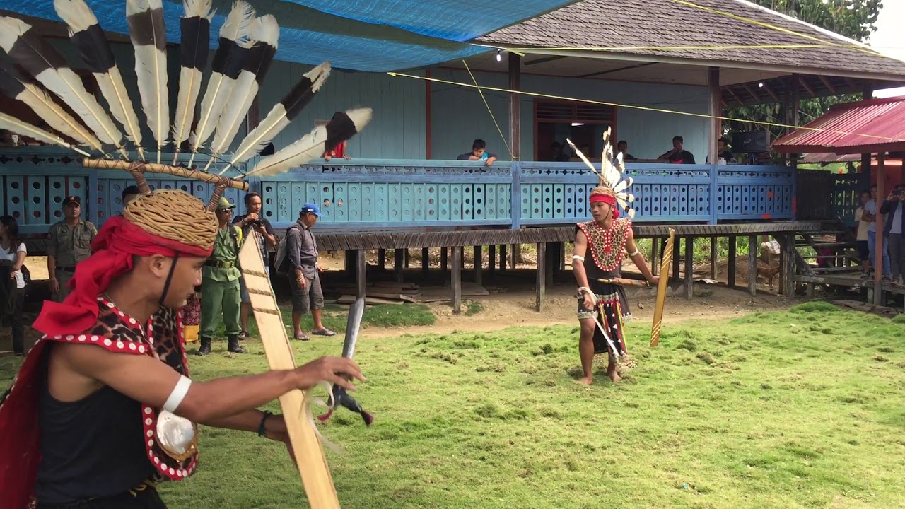 Tarian dayak bahau 👍🏻 - YouTube
