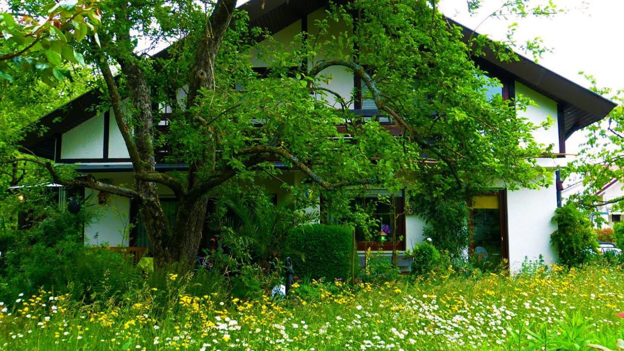 House Lawn Video ~ Greenery ~ Nature Hatch - YouTube