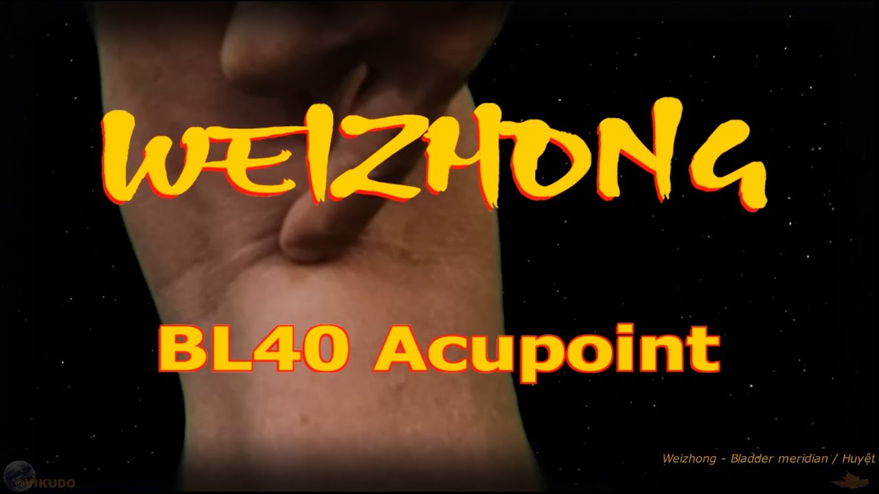 BL40 | Weizhong Acupoint | Bladder Meridian | Acupressure VIKUDO - YouTube