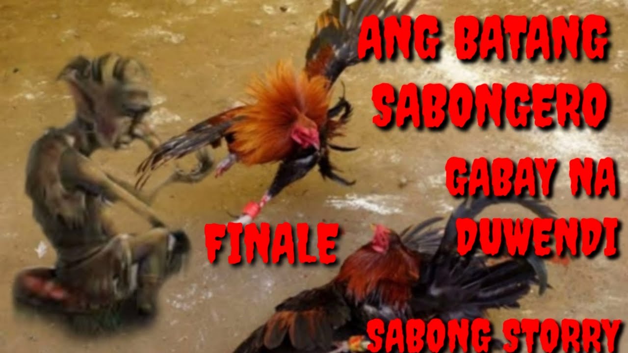 ANG BATANG SABONGERO MUTYA NG DUWENDE KWENTO NG ERMETANYO TRUE STORRY ...