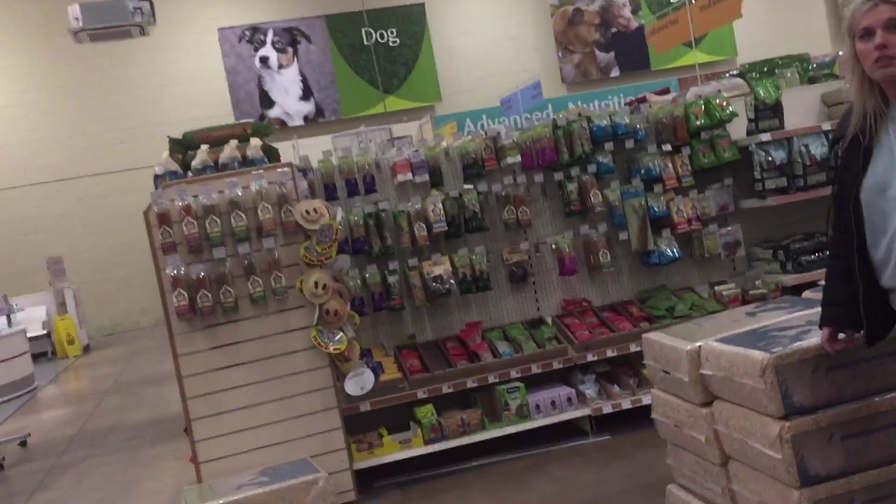 Industrial ceiling fans in pets at home, Wrexham - YouTube