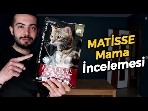 Matisse Kedi Maması İncelemesi (MATİSSE KEDİ MAMASI YORUMU) #kedimaması